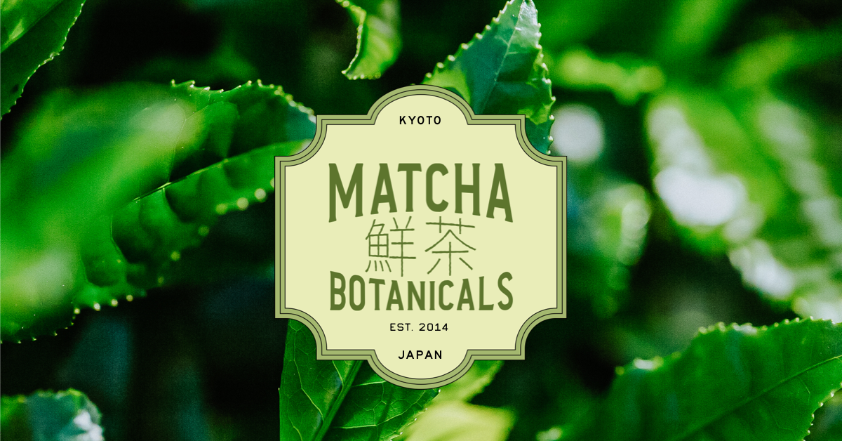 Matcha Botanicals | Ceremonial Grade Matcha Delivered Worldwide